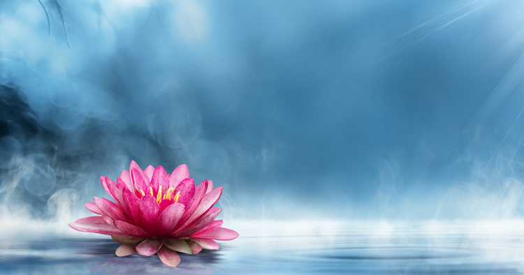 8 Ways to Create Good Karma and Why it's a Must