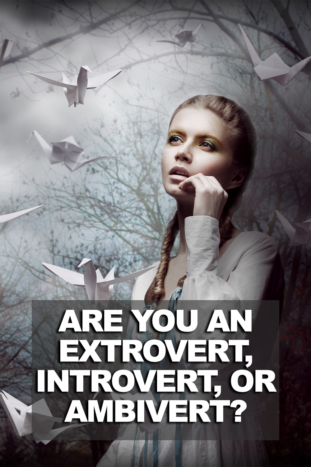 Are You Extrovert, Introvert or Ambivert?