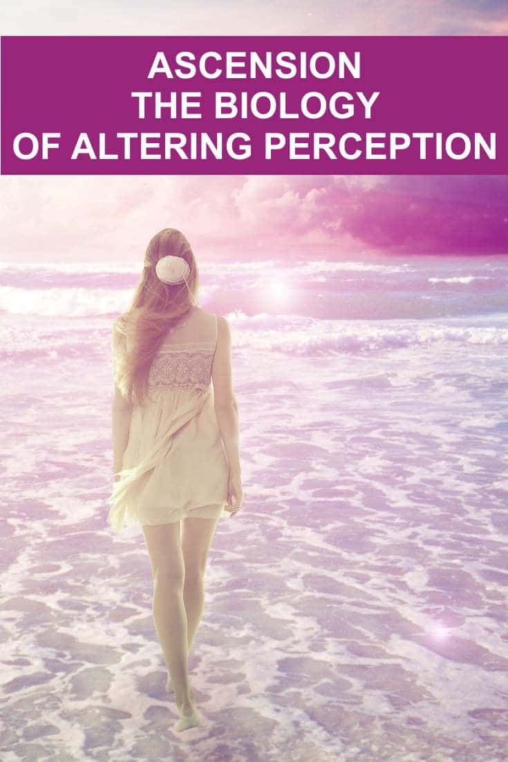 Ascension "“ The Biology Of Altering Perception