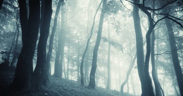 9 Characteristics of the Mystical Experience