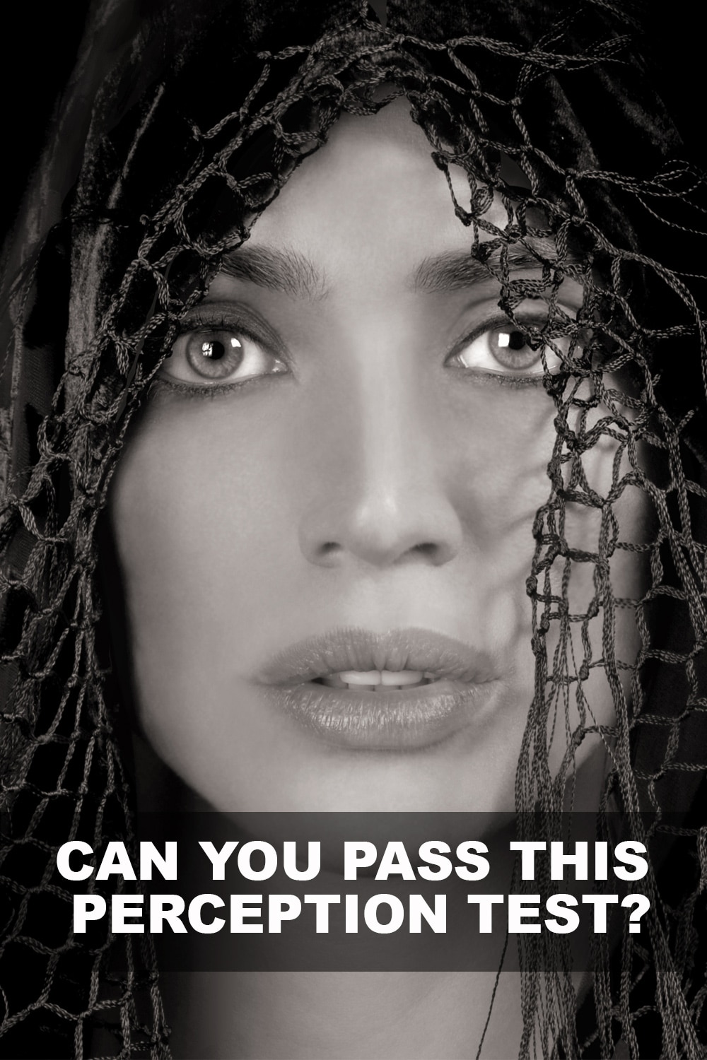 Can You Pass The Perception Test?