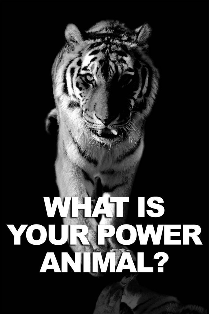 What Is Your Power Animal