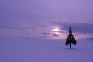 30 Stunning Winter Scenes