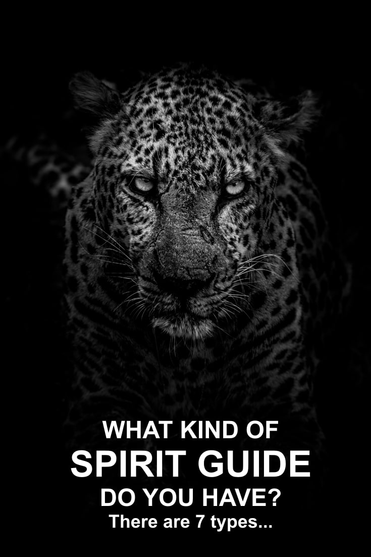 We All Have Spirit Guides "“ Which of These 7 Types Do You Have?