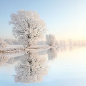 30 Stunning Winter Scenes