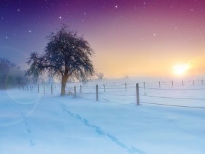30 Stunning Winter Scenes